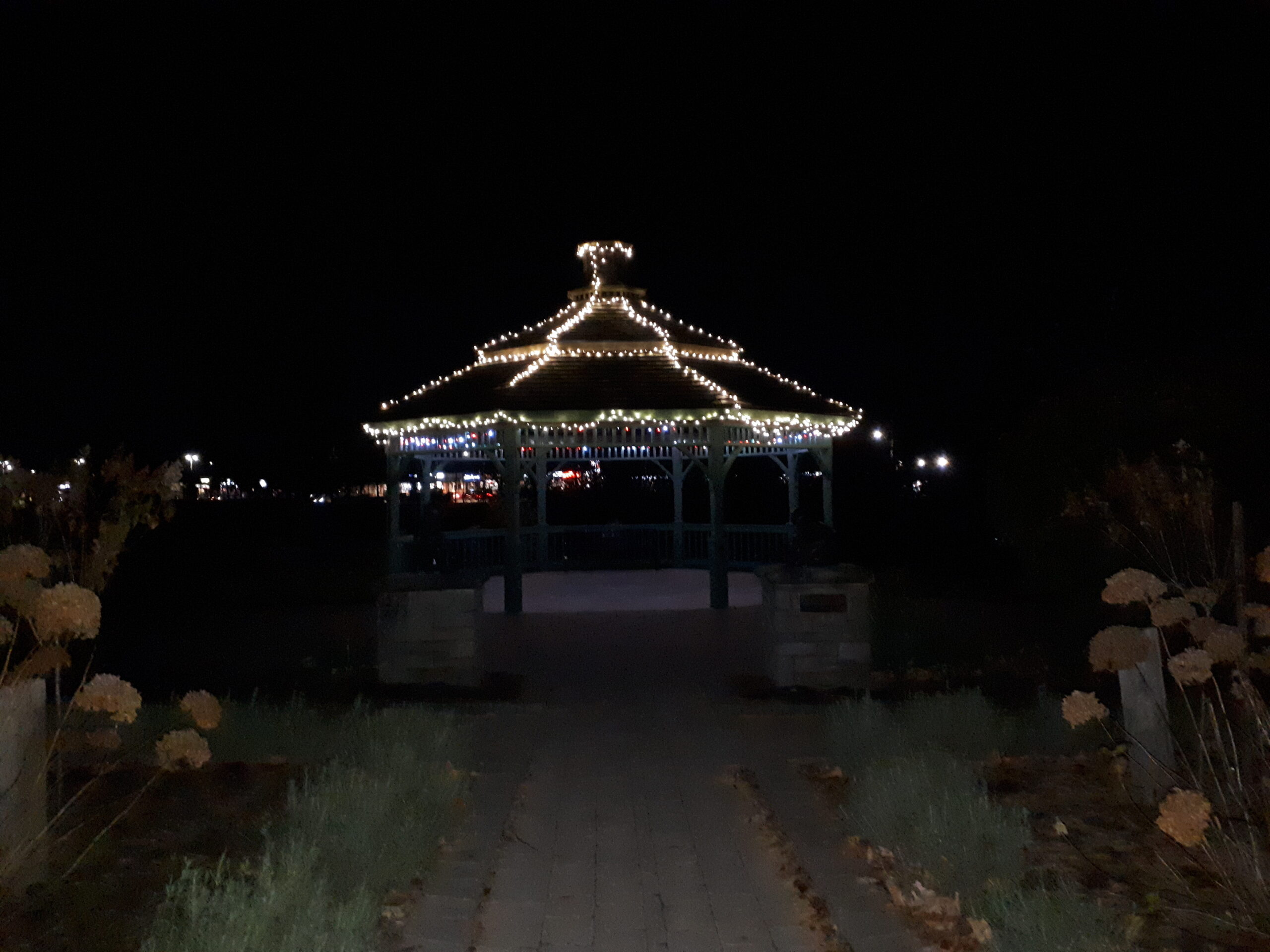 Winter Gazebo at night 20221109_184623 - Old Seed House GardenOld Seed ...